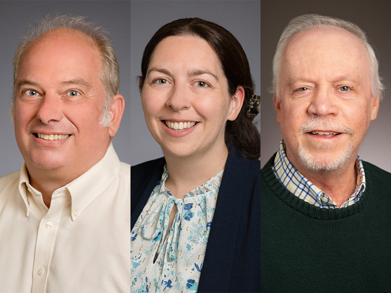 'A chance to shine': Three MatSE faculty serving four DOE-awarded centers addressing the U.S ...